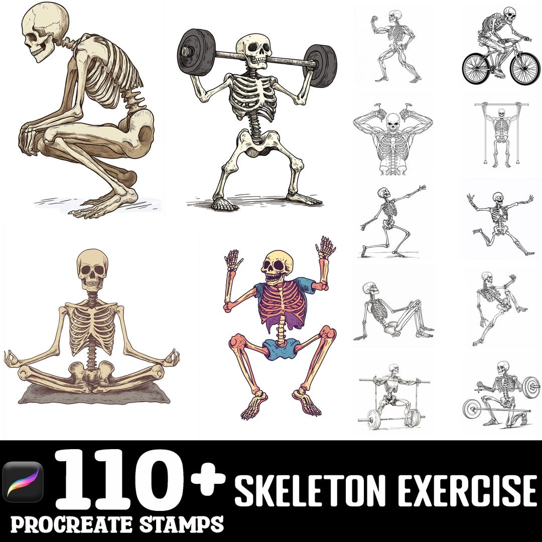 120+ Skeleton Exercise Poses Procreate Stamps | Procreate Brushes ...