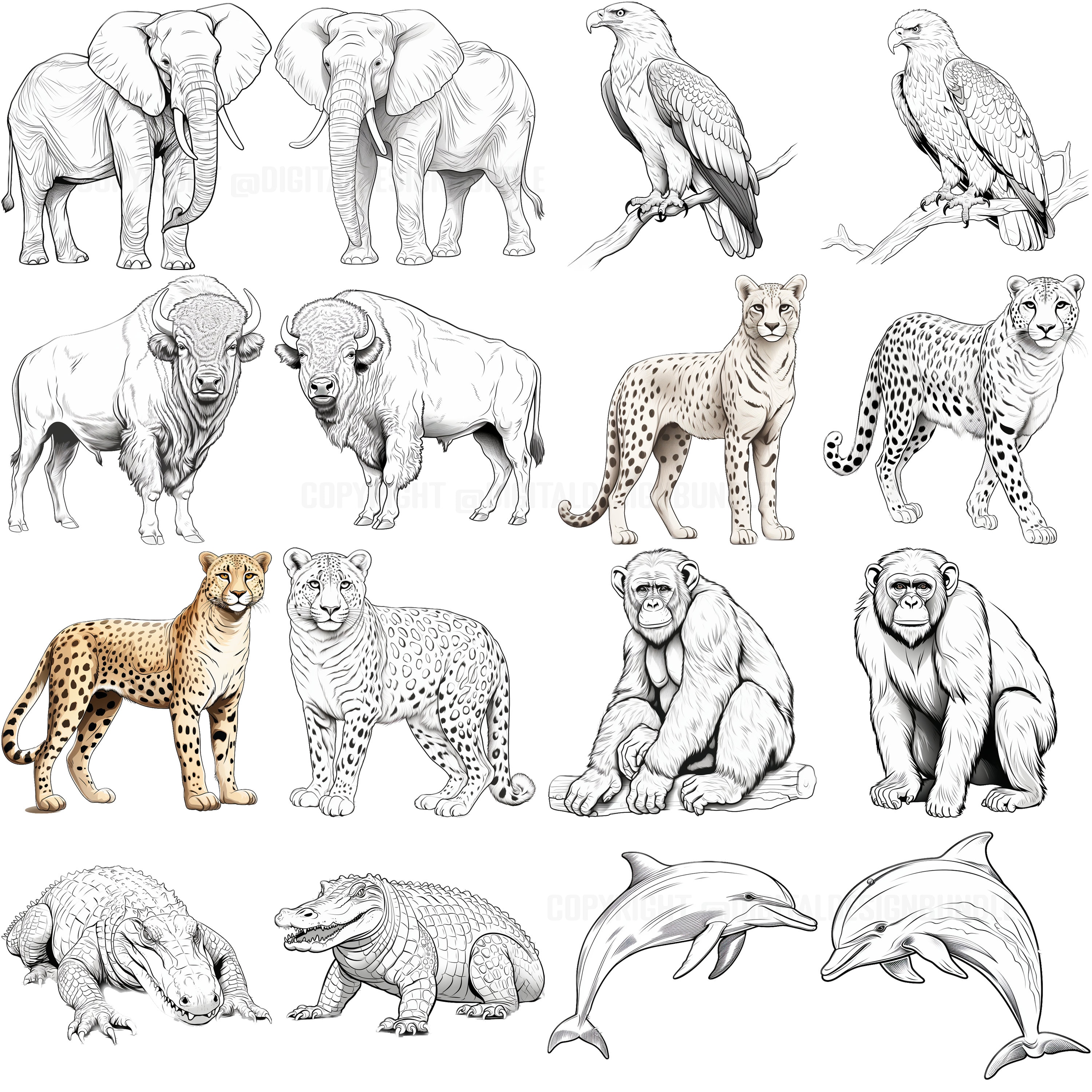100+ Animal Bundle Procreate Stamps | Animal Guides | Instant Digital ...