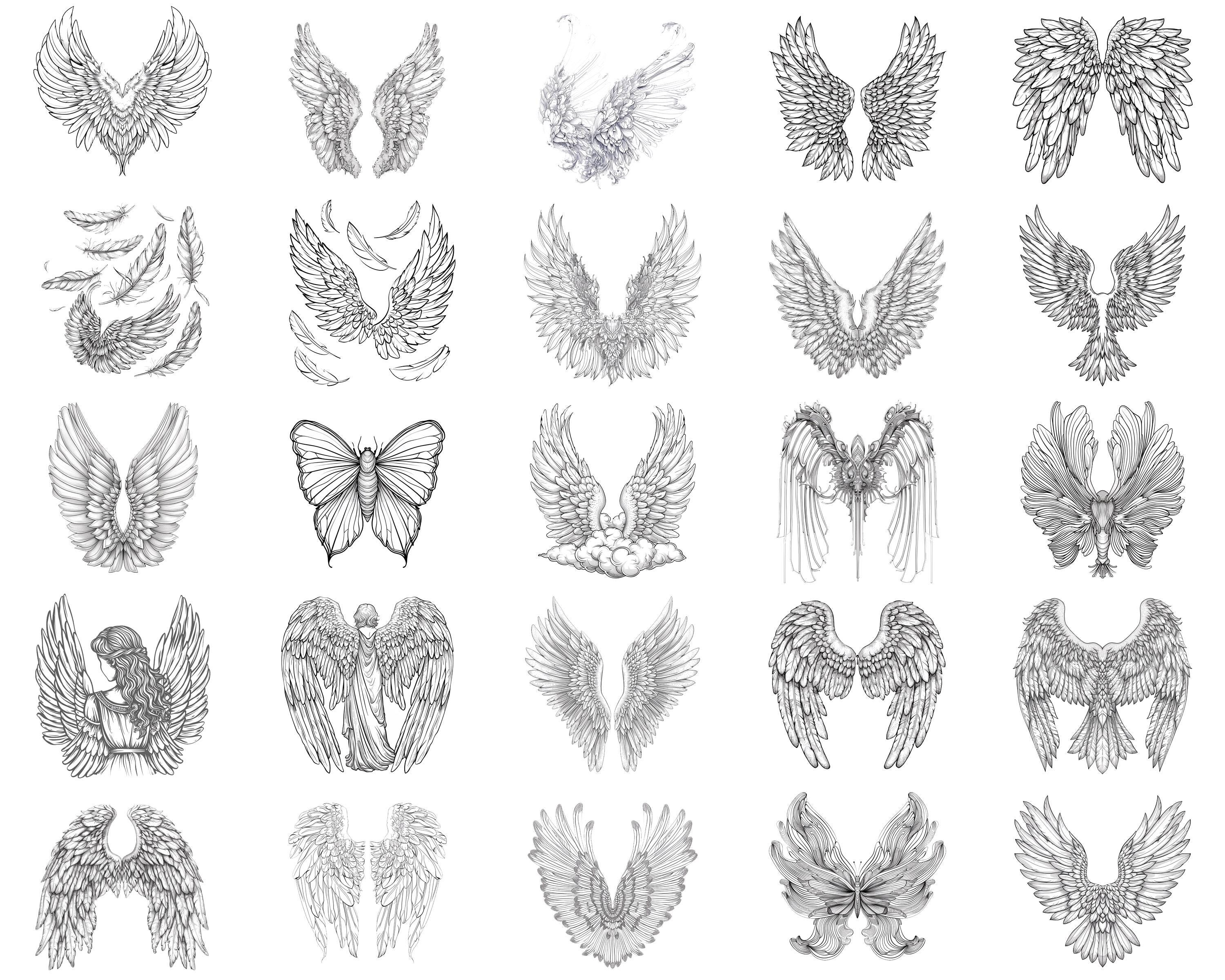 100+ Angel Wings Procreate Stamps | Procreate Brushes | Instant Digital ...