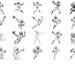 120+ Football Poses Procreate Stamps | Procreate Brushes | Instant ...