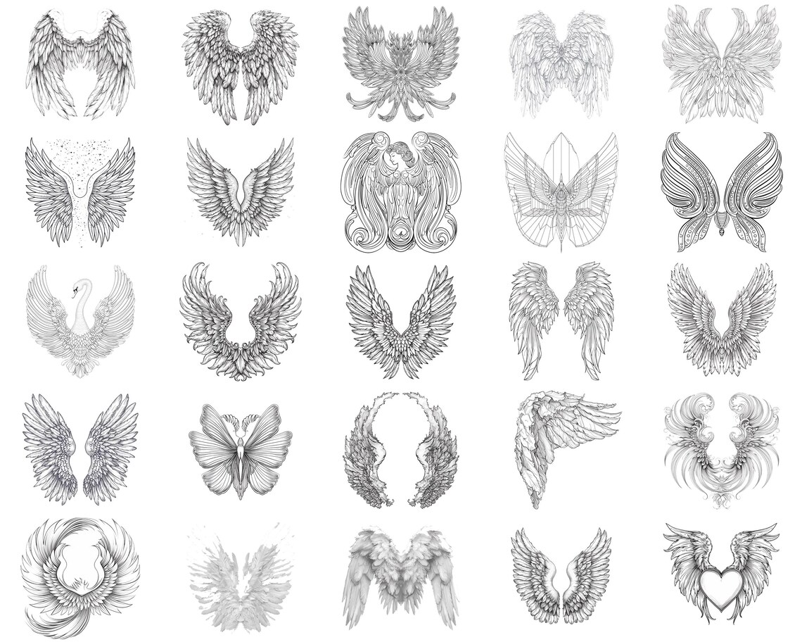 100+ Angel Wings Procreate Stamps | Procreate Brushes | Instant Digital ...