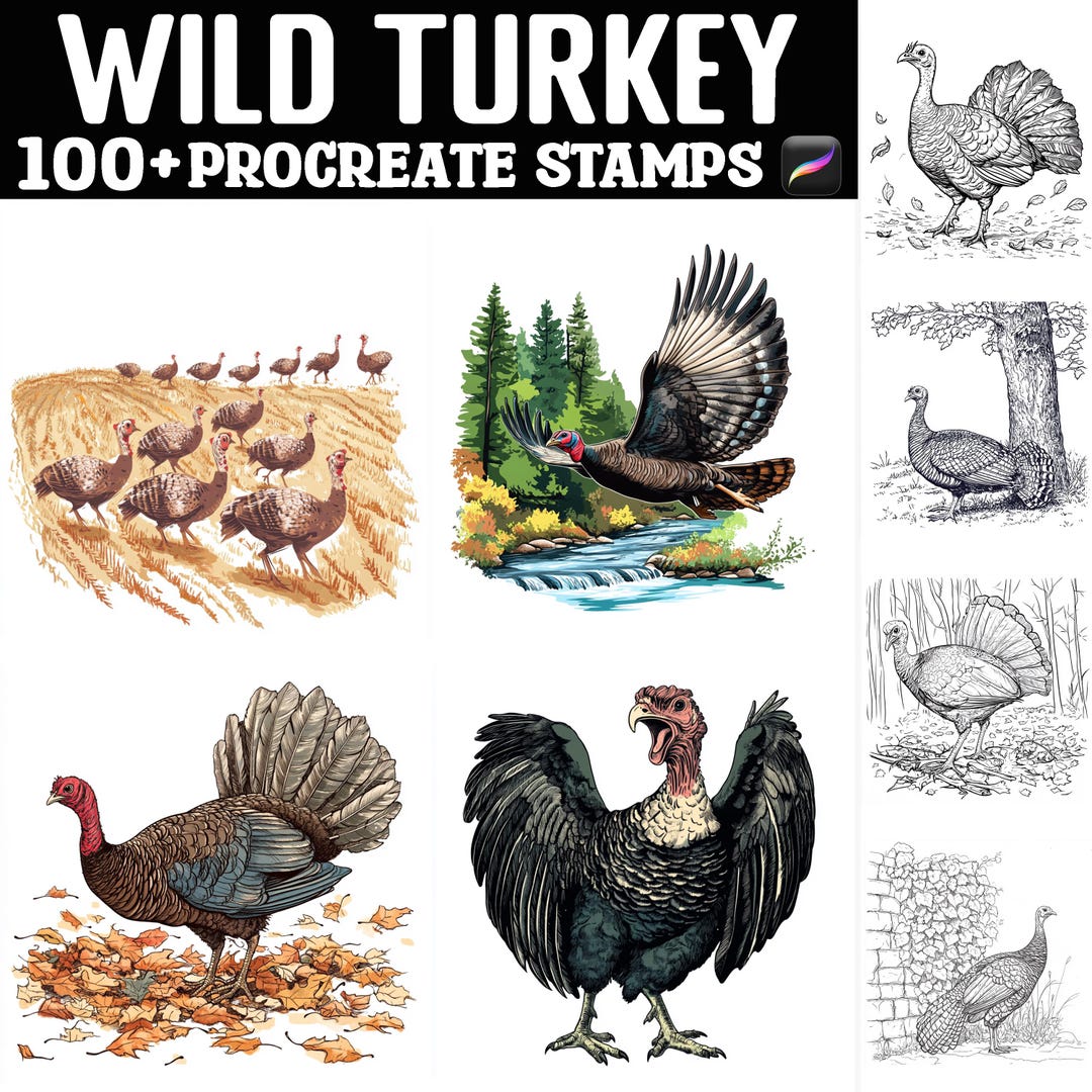 100+ Wild Turkey Procreate Stamps | Procreate Brushes | Instant Digital ...