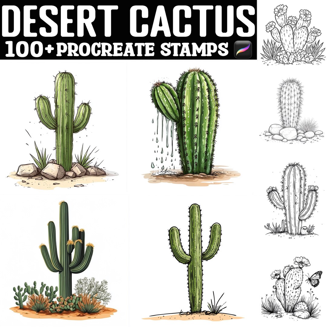 100+ Desert Cactus Procreate Stamps | Procreate Brushes | Instant ...