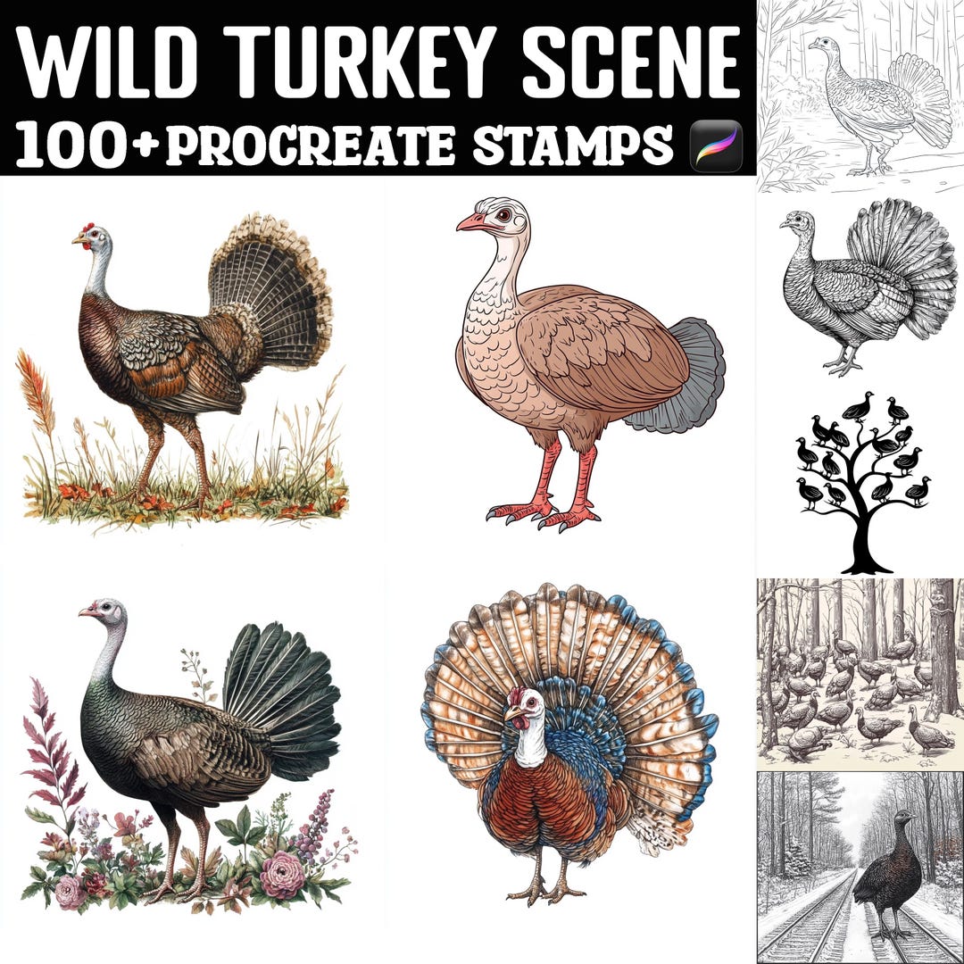 100+ Wild Turkey Scene Procreate Stamps | Procreate Brushes | Instant ...