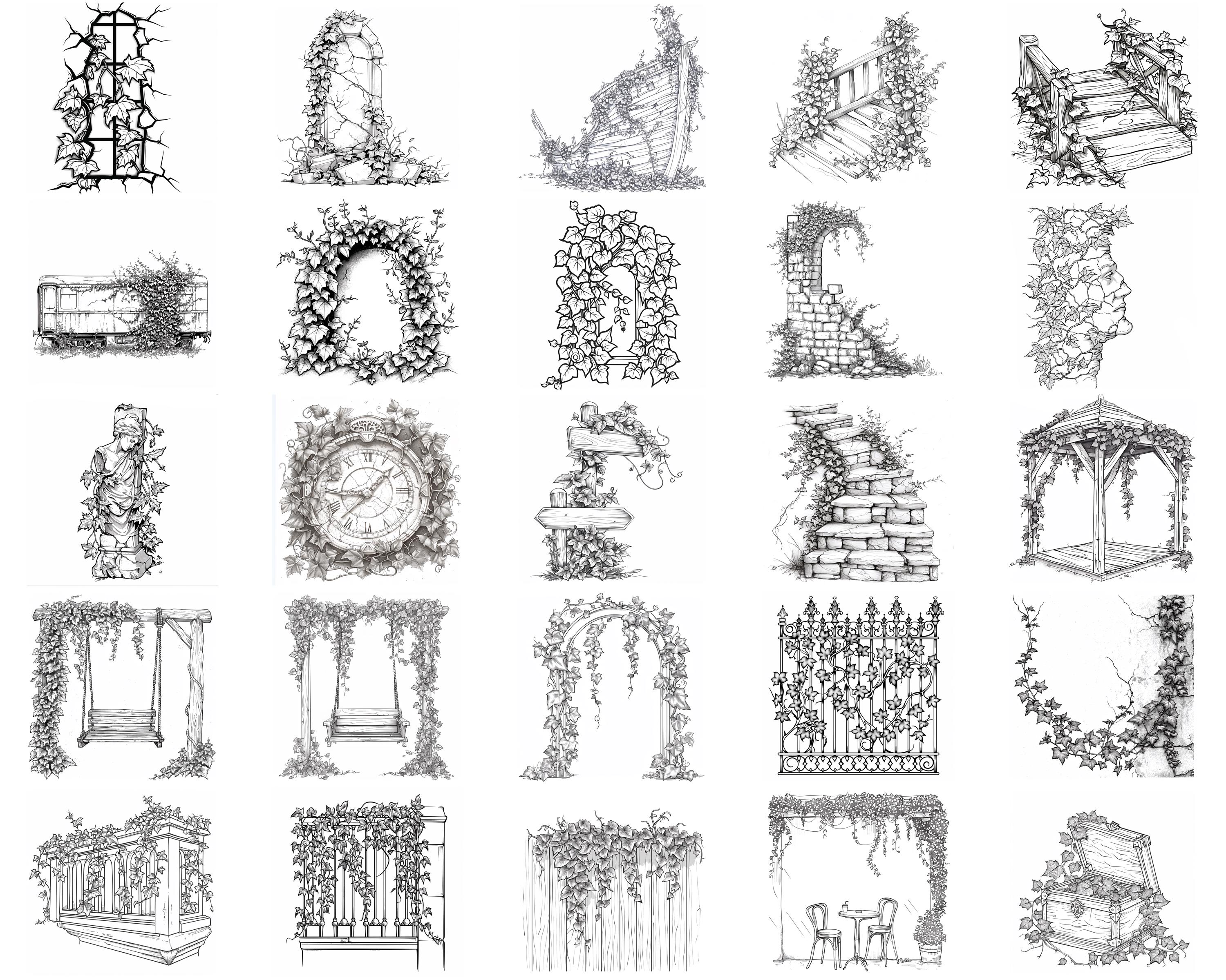 100+ Ivy-covered Walls Procreate Stamps | Procreate Brushes | Instant ...