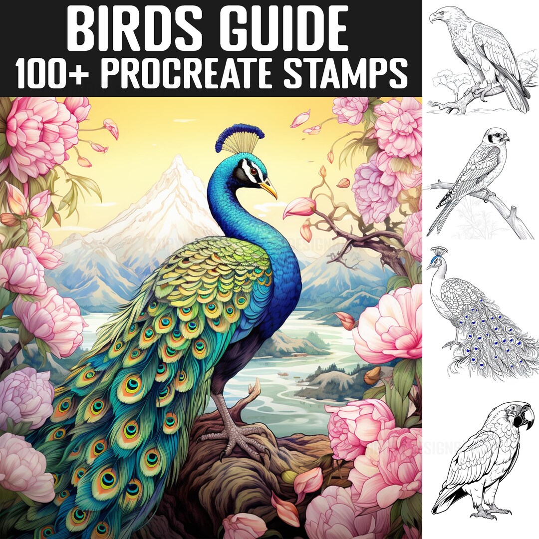 100+ Birds Procreate Stamps | Bird Guides | Instant Digital Download - Etsy