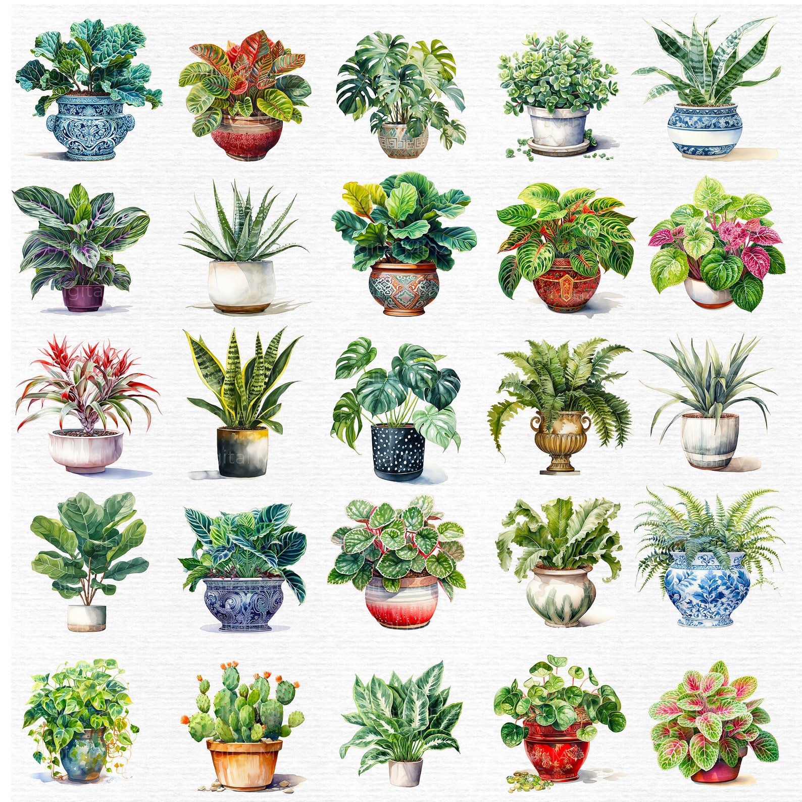 25 Watercolor House Plants Clipart, Watercolor Gardening Download ...