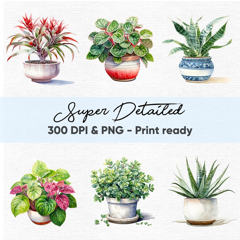 25 Watercolor House Plants Clipart, Watercolor Gardening Download ...