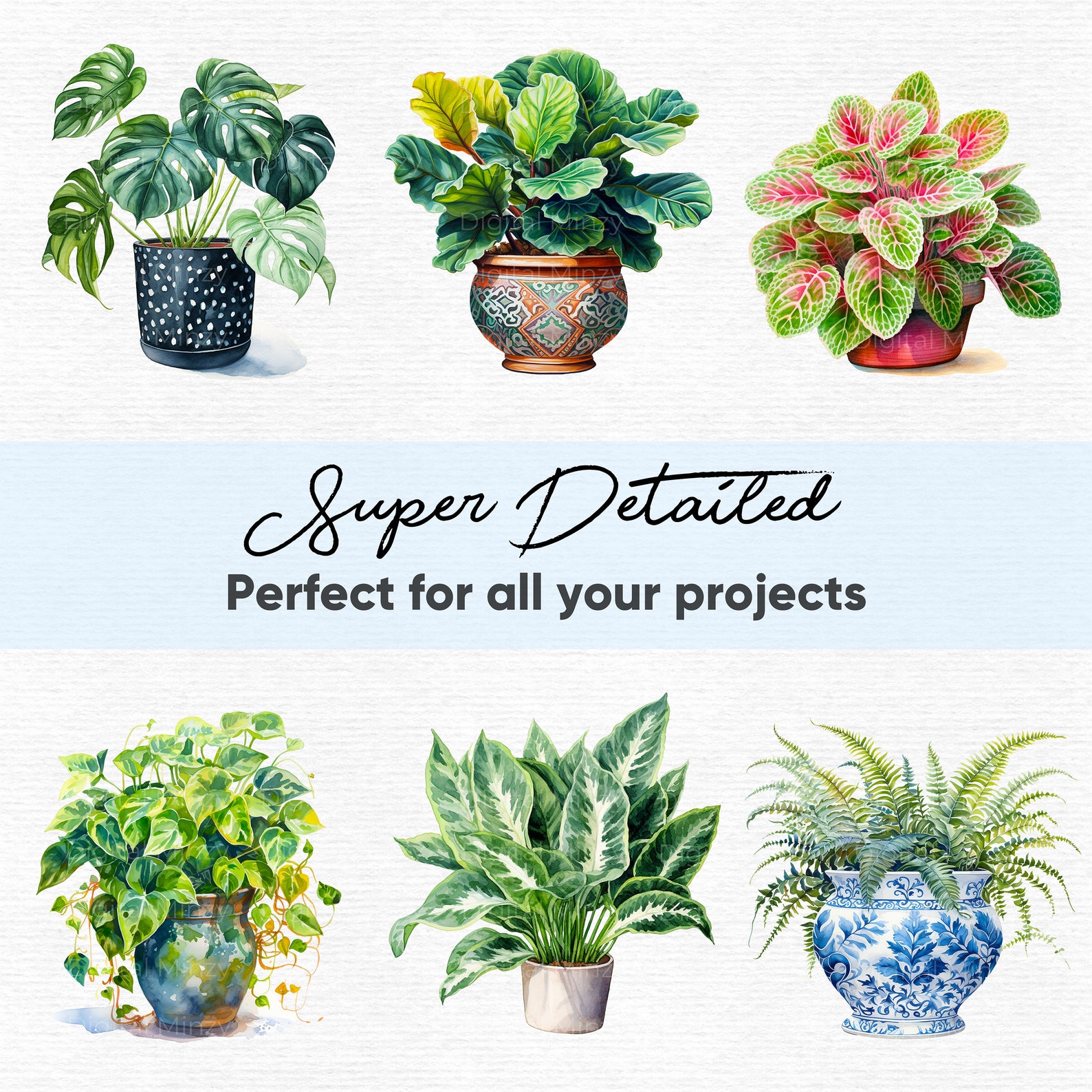 25 Watercolor House Plants Clipart, Watercolor Gardening Download ...