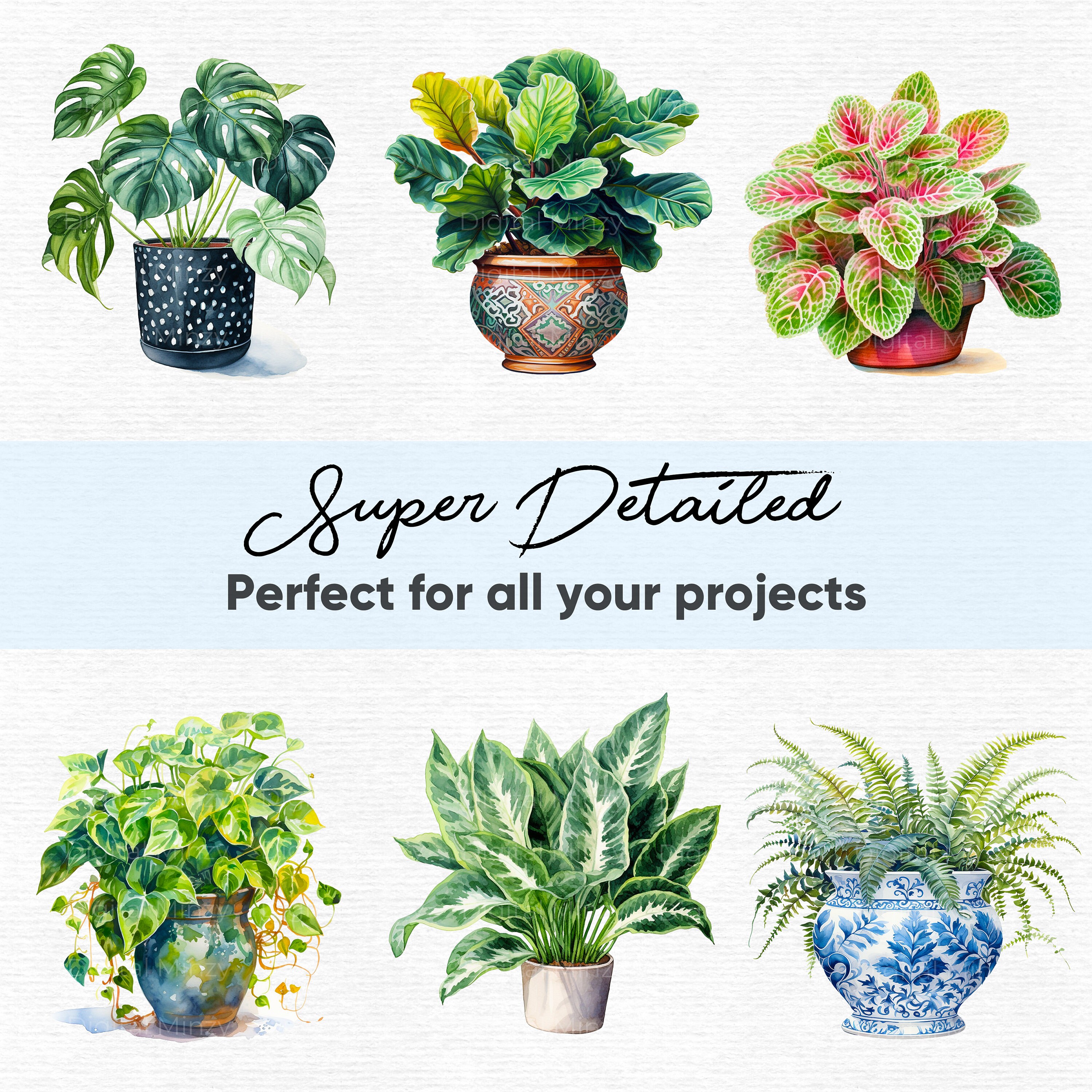 25 Watercolor House Plants Clipart, Watercolor Gardening Download ...
