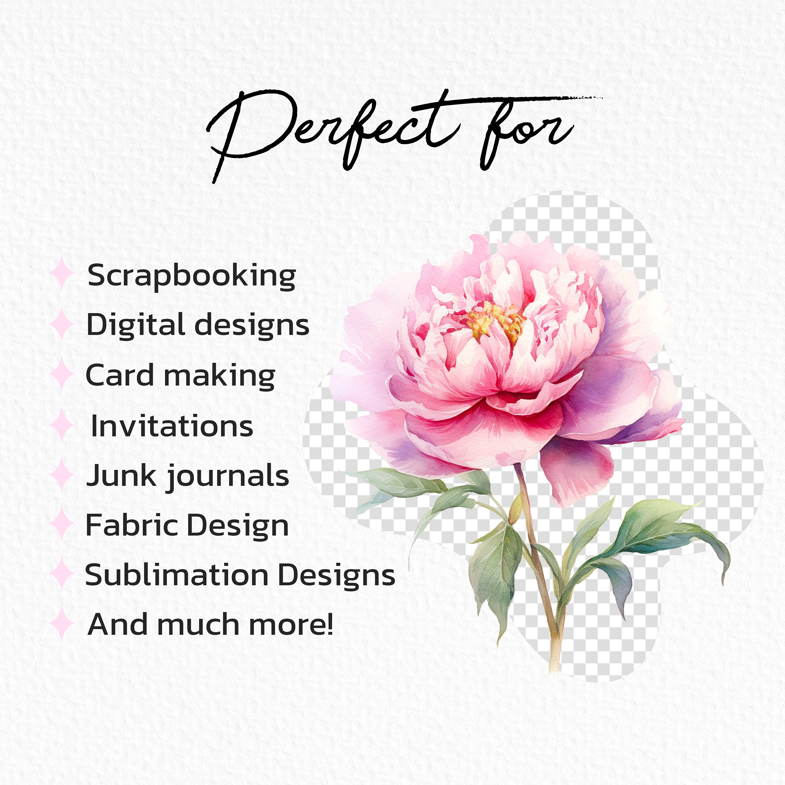 25 Watercolor Pink Peonies Clipart, Pinkflower Clipart, Floral PNG ...