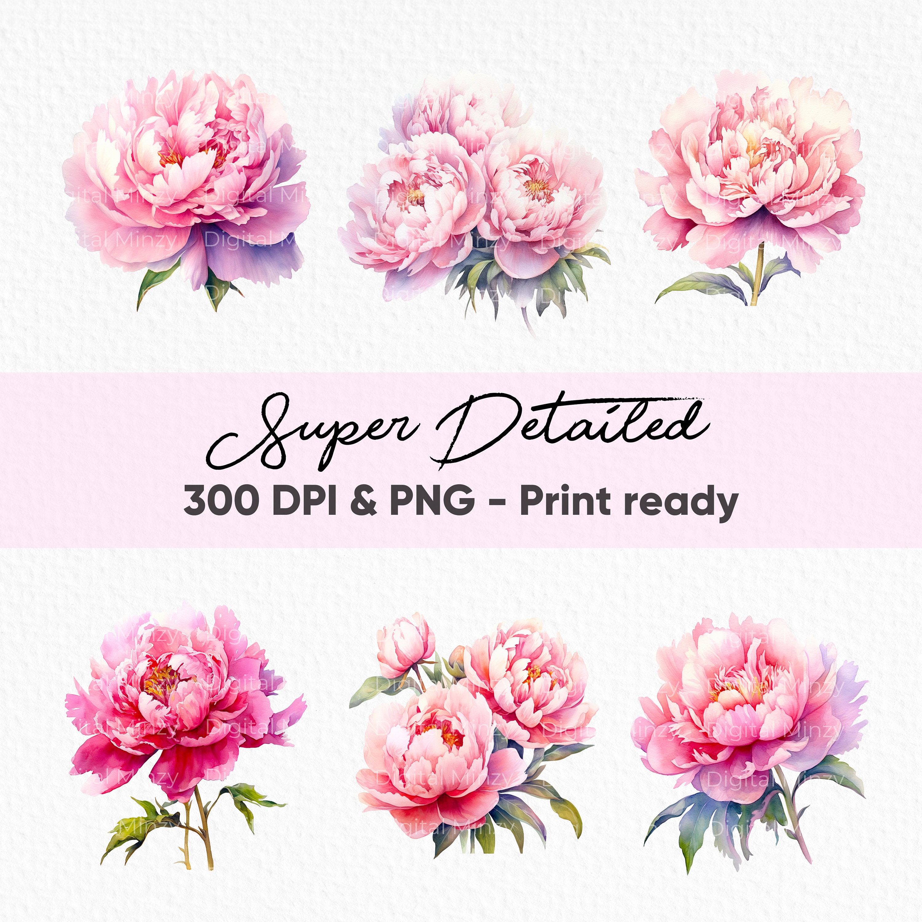 25 Watercolor Pink Peonies Clipart, Pinkflower Clipart, Floral PNG ...