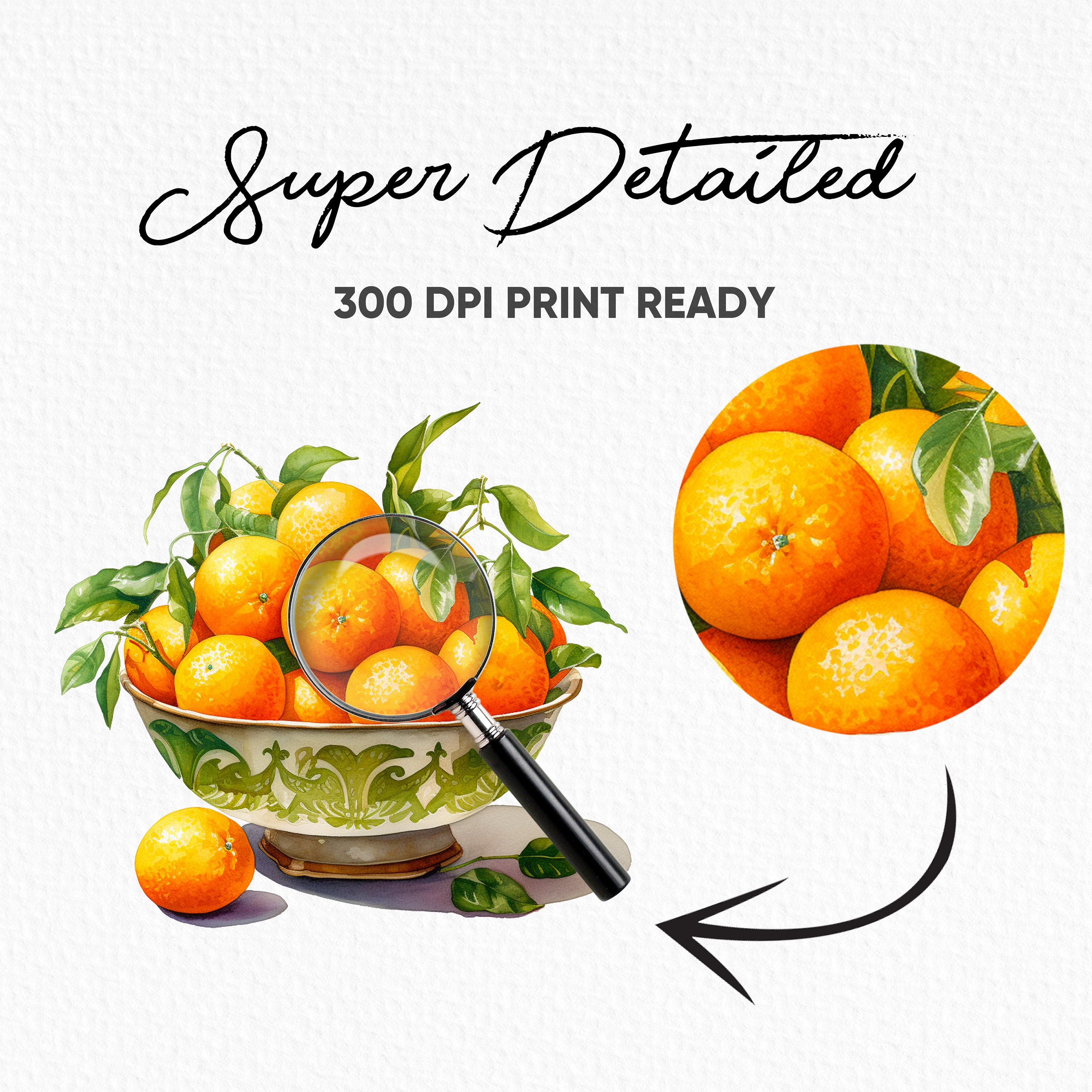 Watercolor Oranges Clipart Digital Png Citrus Graphics for - Etsy