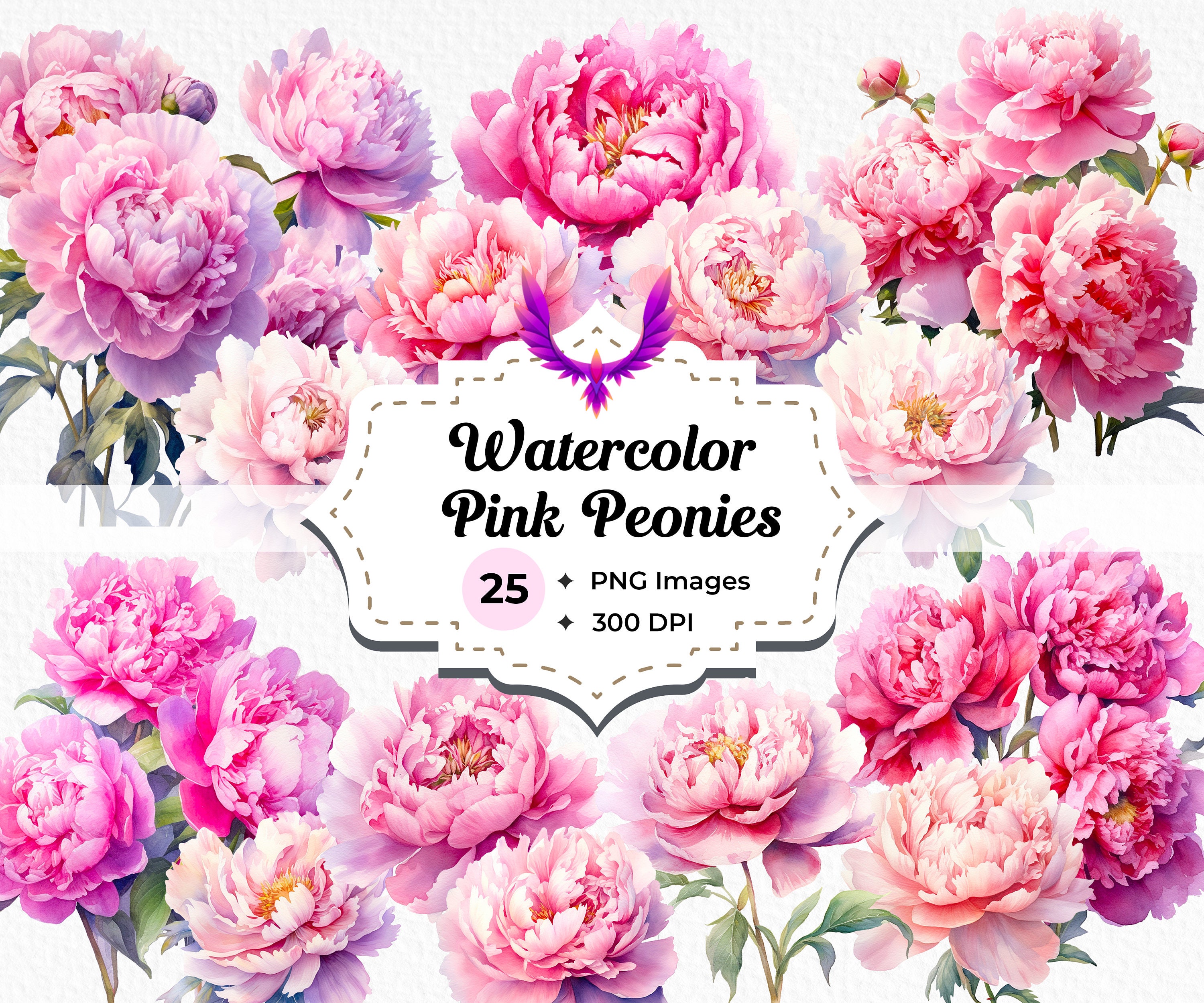 25 Watercolor Pink Peonies Clipart, Pinkflower Clipart, Floral PNG ...
