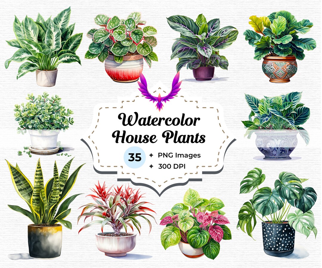 25 Watercolor House Plants Clipart, Watercolor Gardening Download ...