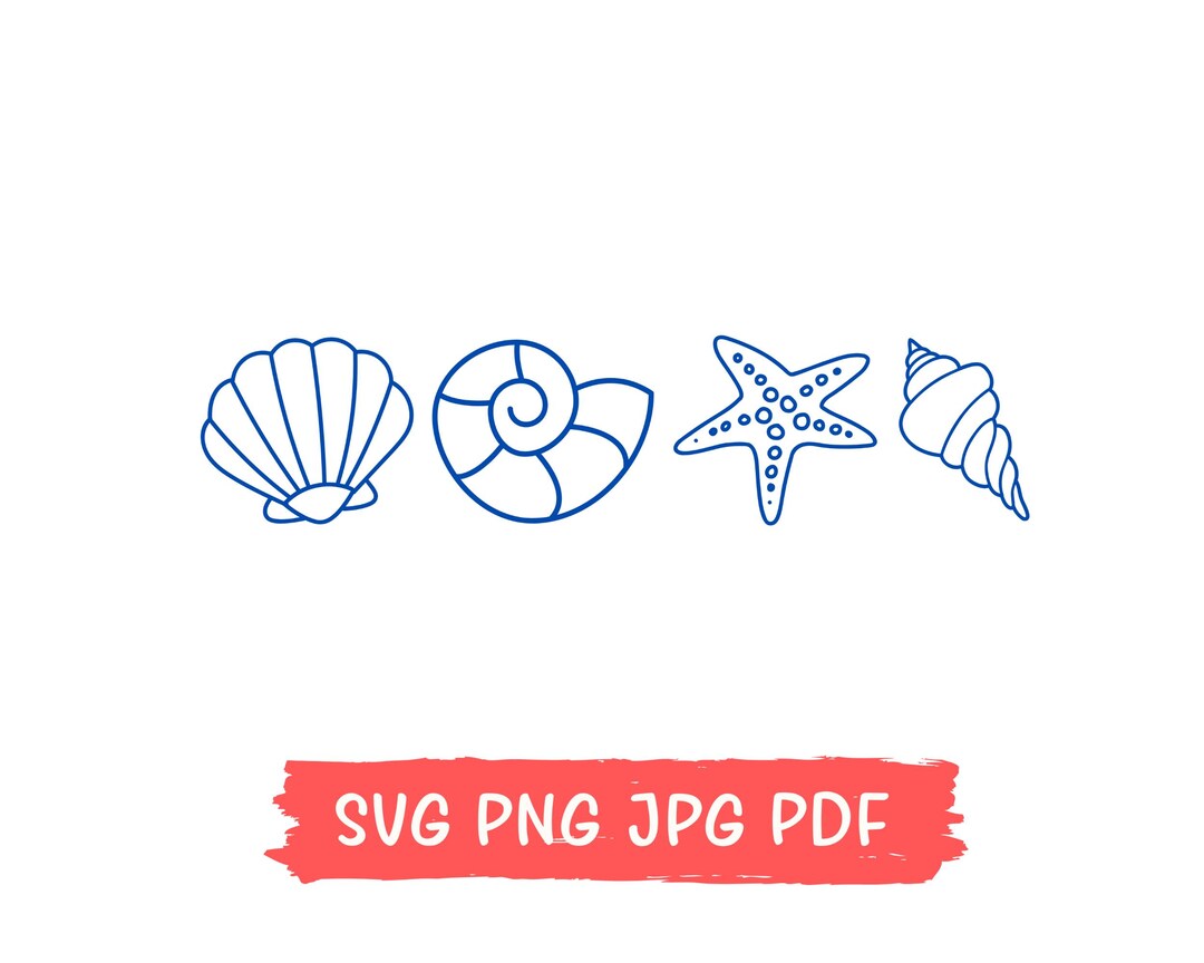 Seashell SVG: Beach Summer Clipart Bundle (digital Download) - Etsy