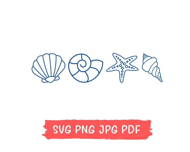 Seashell SVG: Beach Summer Clipart Bundle (digital Download) - Etsy
