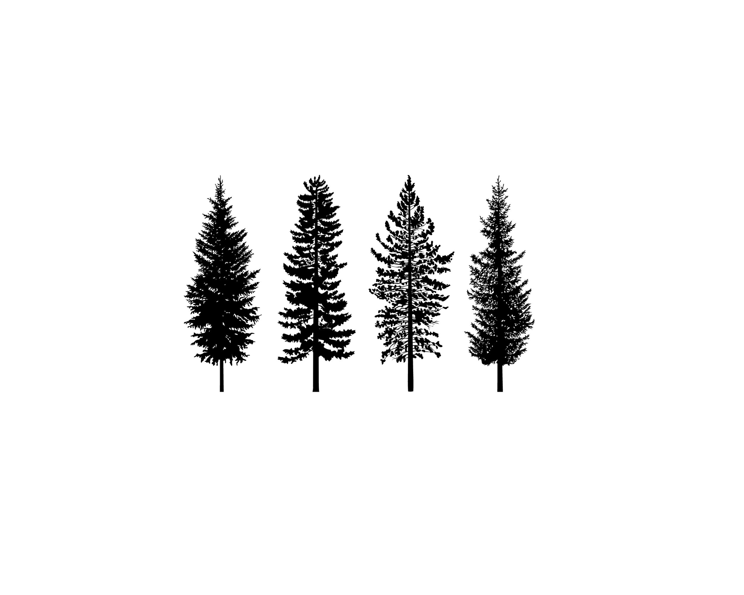 Tree Silhouette Svg, Pine Tree Svg, Pine Tree Silhouette, Evergreen ...