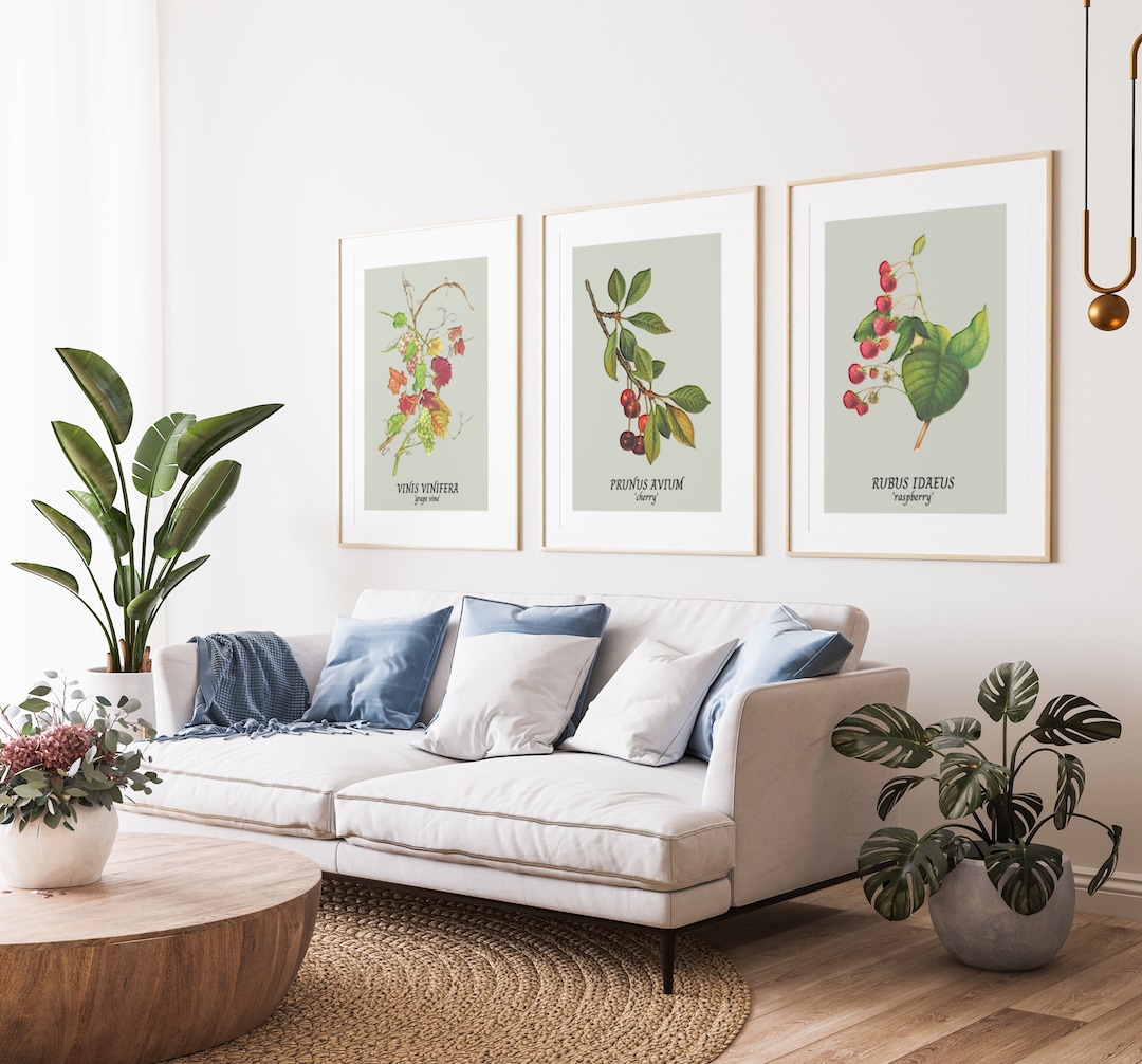 Vintage Fruit Prints, Botanical Prints, Vintage Art, Raspberry, Grape ...