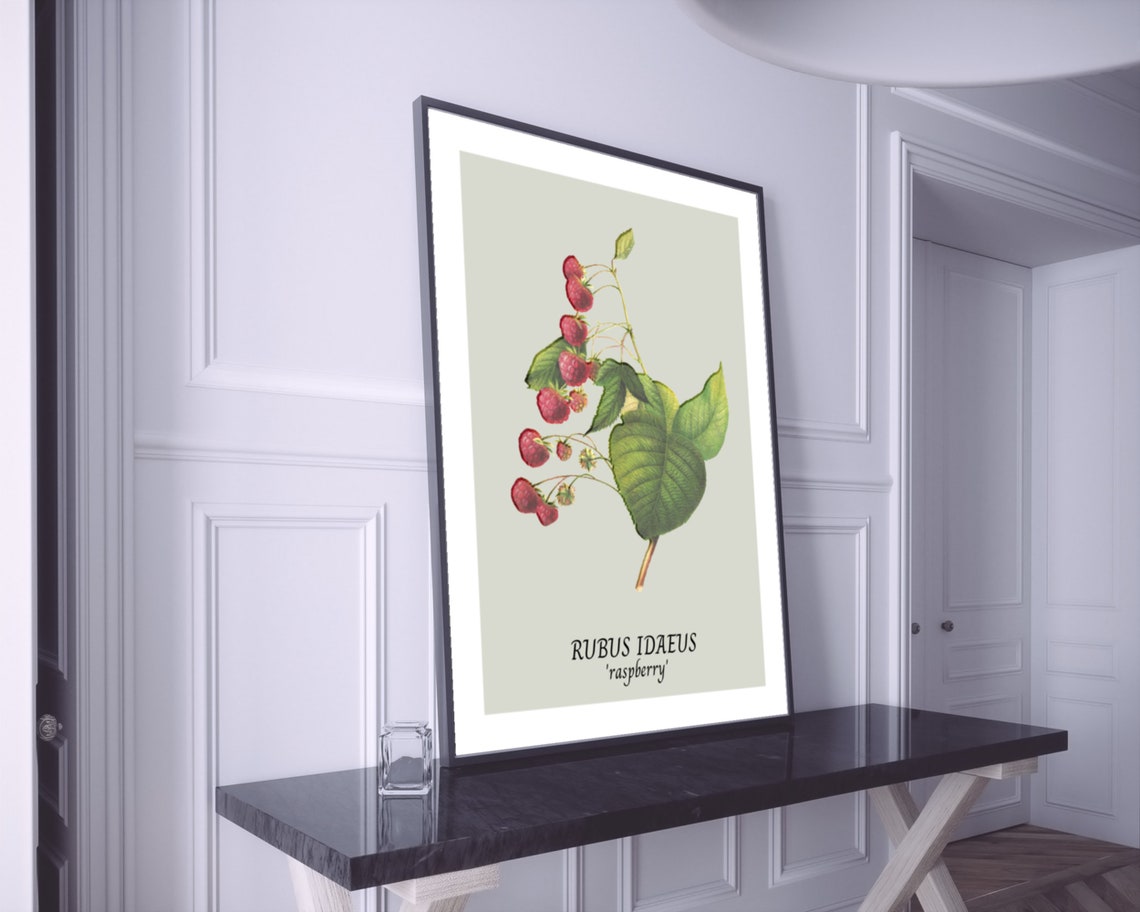Vintage Fruit Prints, Botanical Prints, Vintage Art, Raspberry, Grape ...