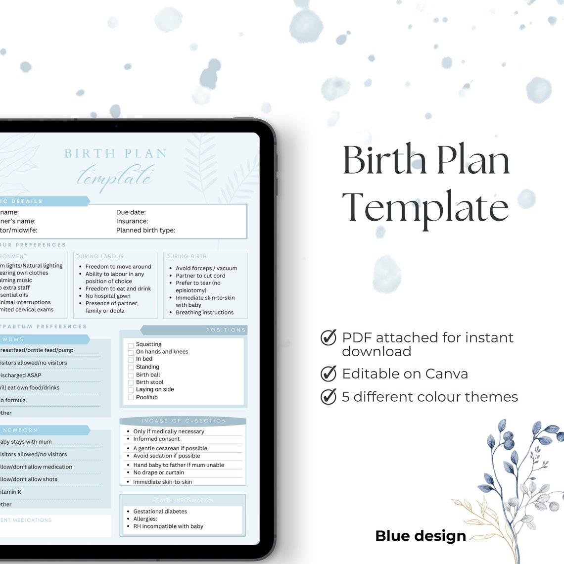 Editable Birth Plan Template: Customizable Labor & Delivery Preferences ...