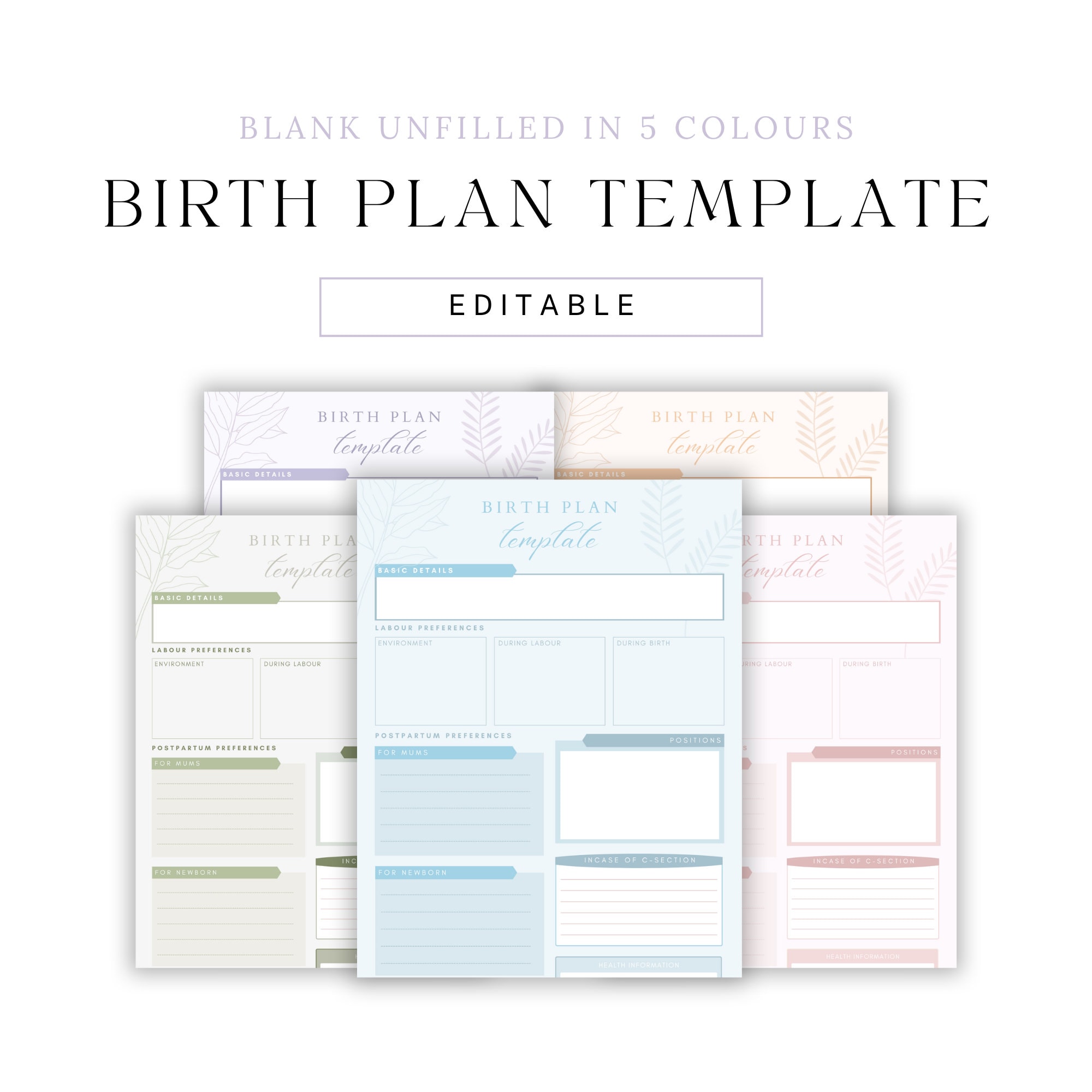 Editable Birth Plan Template Printable Birthing Plan, Printable and ...