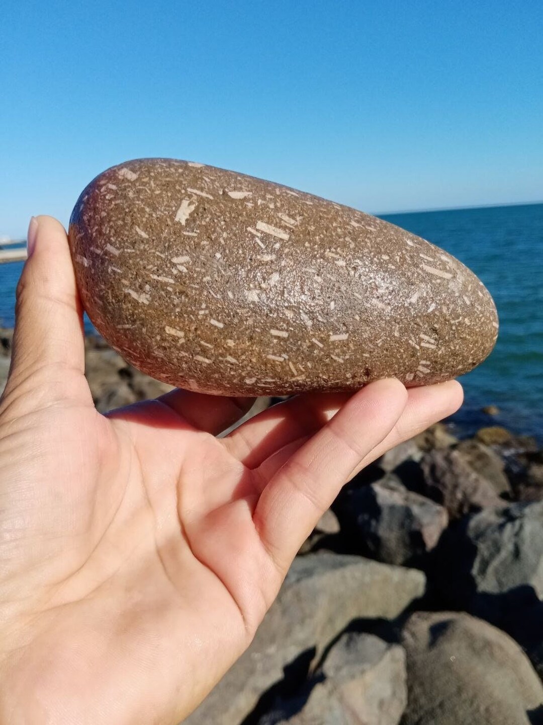 Raw Porphyry Stone Beach Crafts Garden Decor Terrarium Rock - Etsy