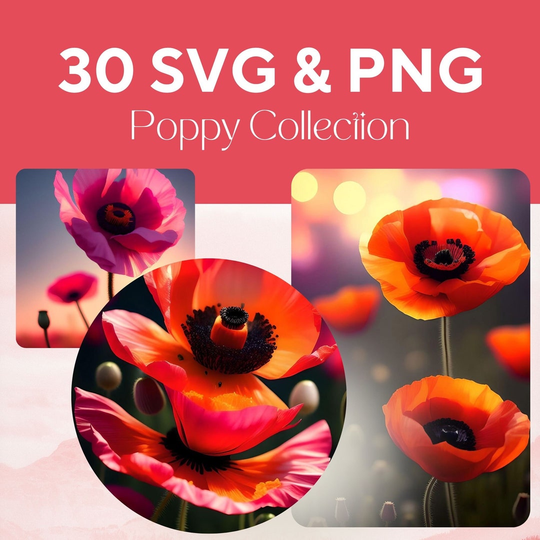 30 Poppy Flowers SVG and PNG Bundle Digital Download Cricut - Etsy