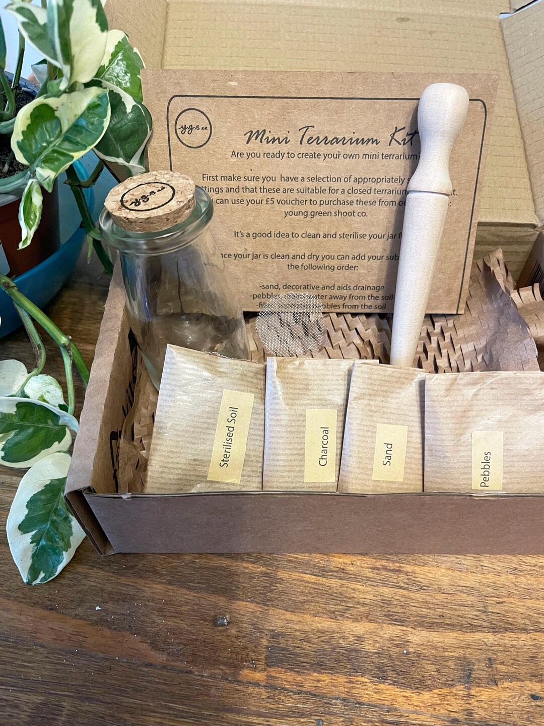 DIY Mini Terrarium Kit Gift Pack - Etsy UK