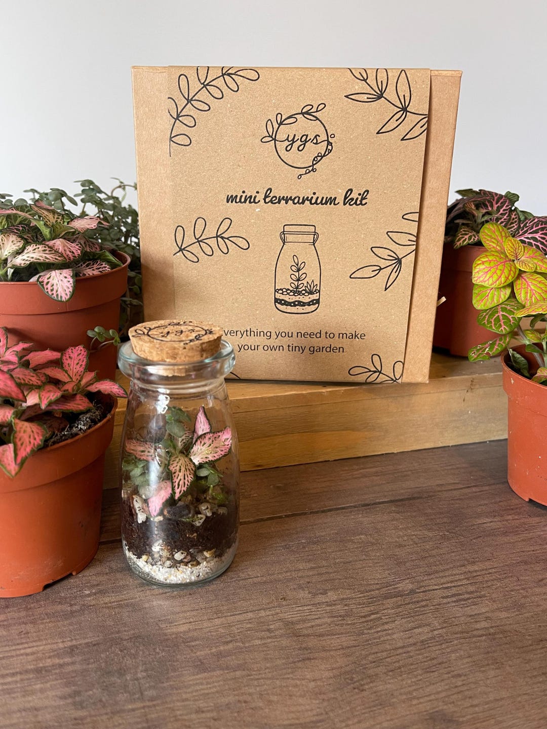 DIY Mini Terrarium House Plant Kit Gift Pack - Etsy UK