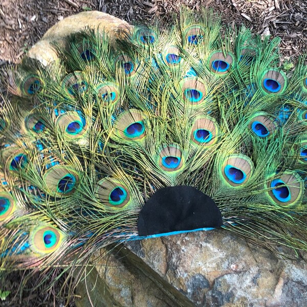 Peacock Fan - Etsy