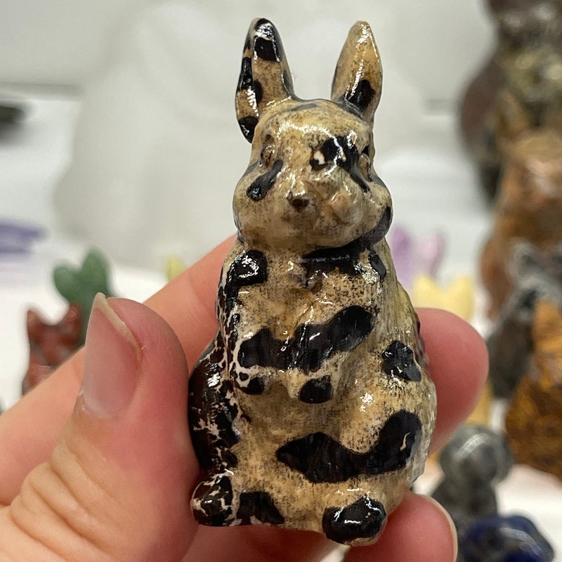 Rabbit Picture - Etsy