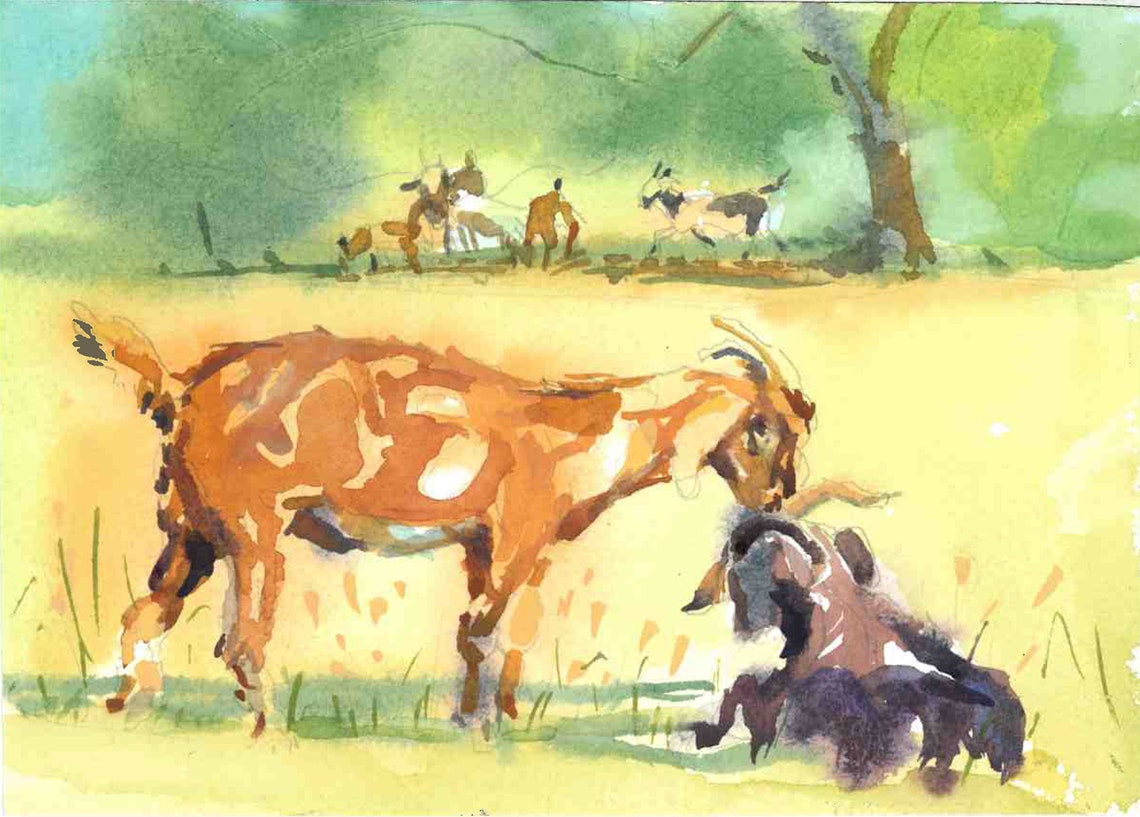 Goat Cards Greeting Card for Goat Lover Gift by Bob Askew Sewanee Goats ...