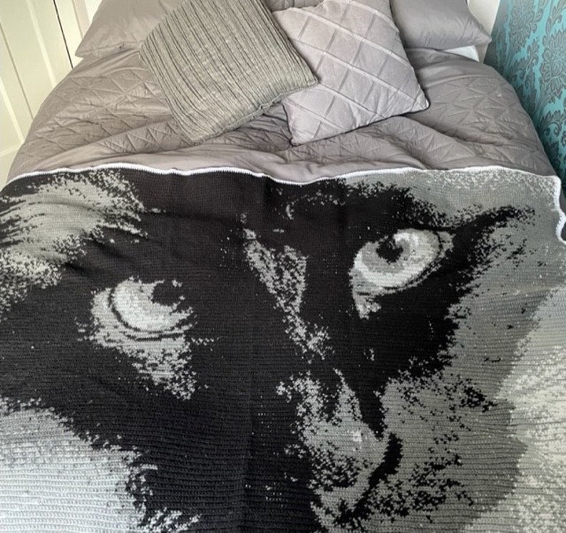 Cat Crochet Graphghan and Cross Stitch Pattern | Pixel Blanket | Afghan ...