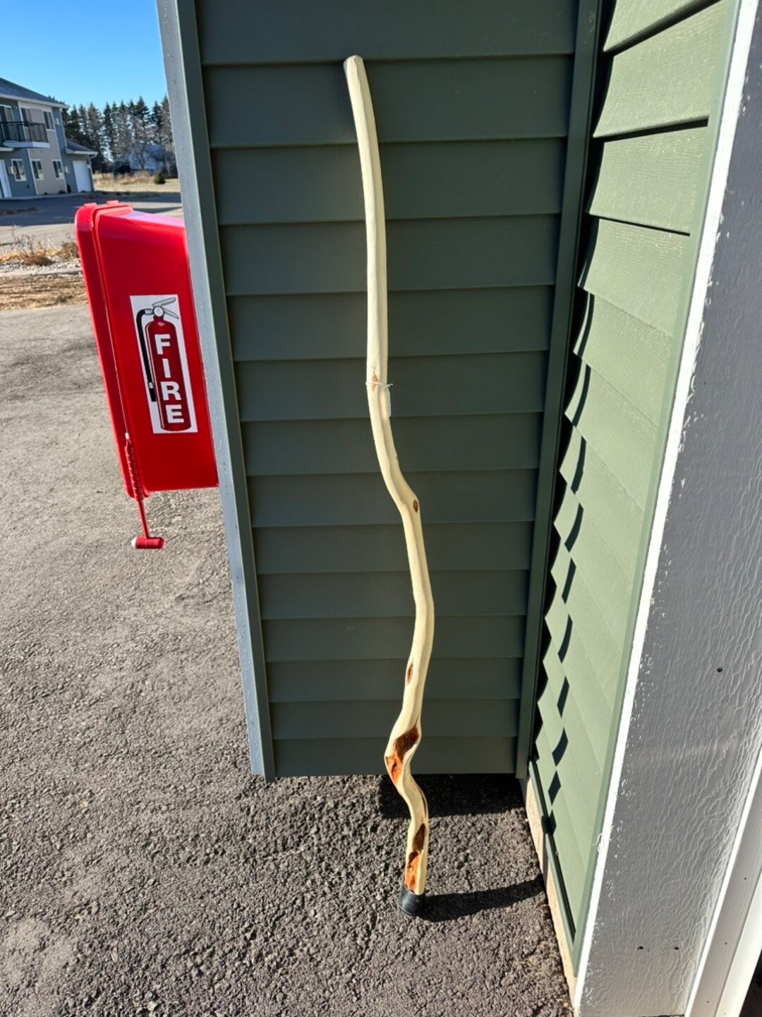 Diamond Willow Walking Stick 5ft Tall - Etsy