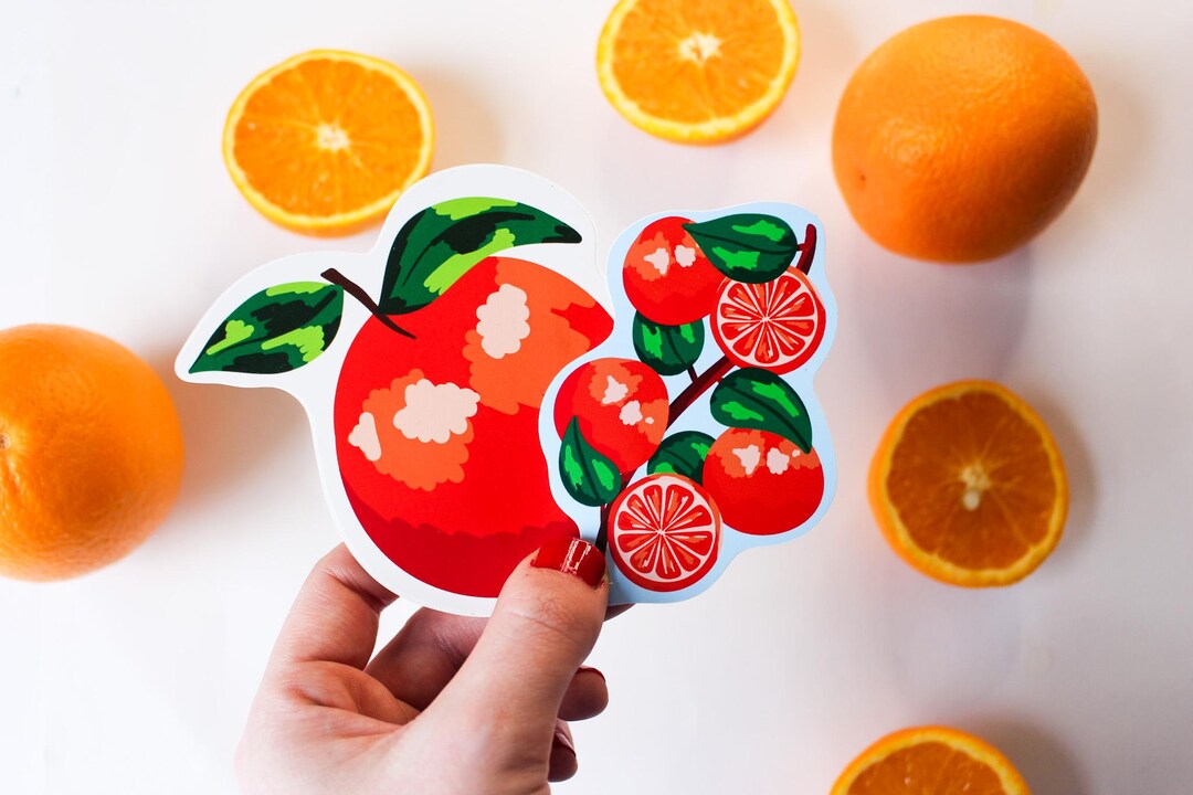 Orange Fruit Sticker | Hand-illustrated Vinyl Decal - Etsy