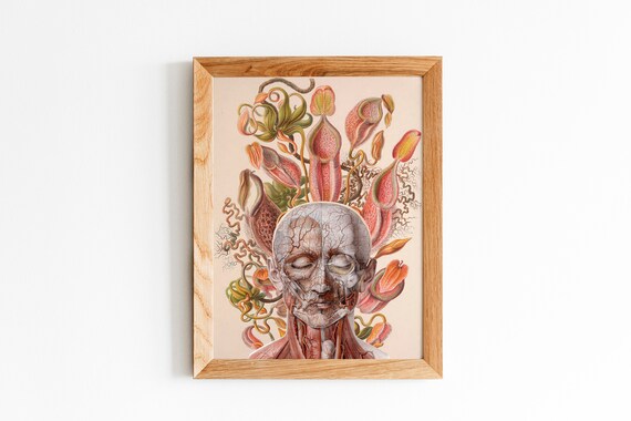 Abstract Art Anatomical Collage Anatomy Collage Anatomy - Etsy