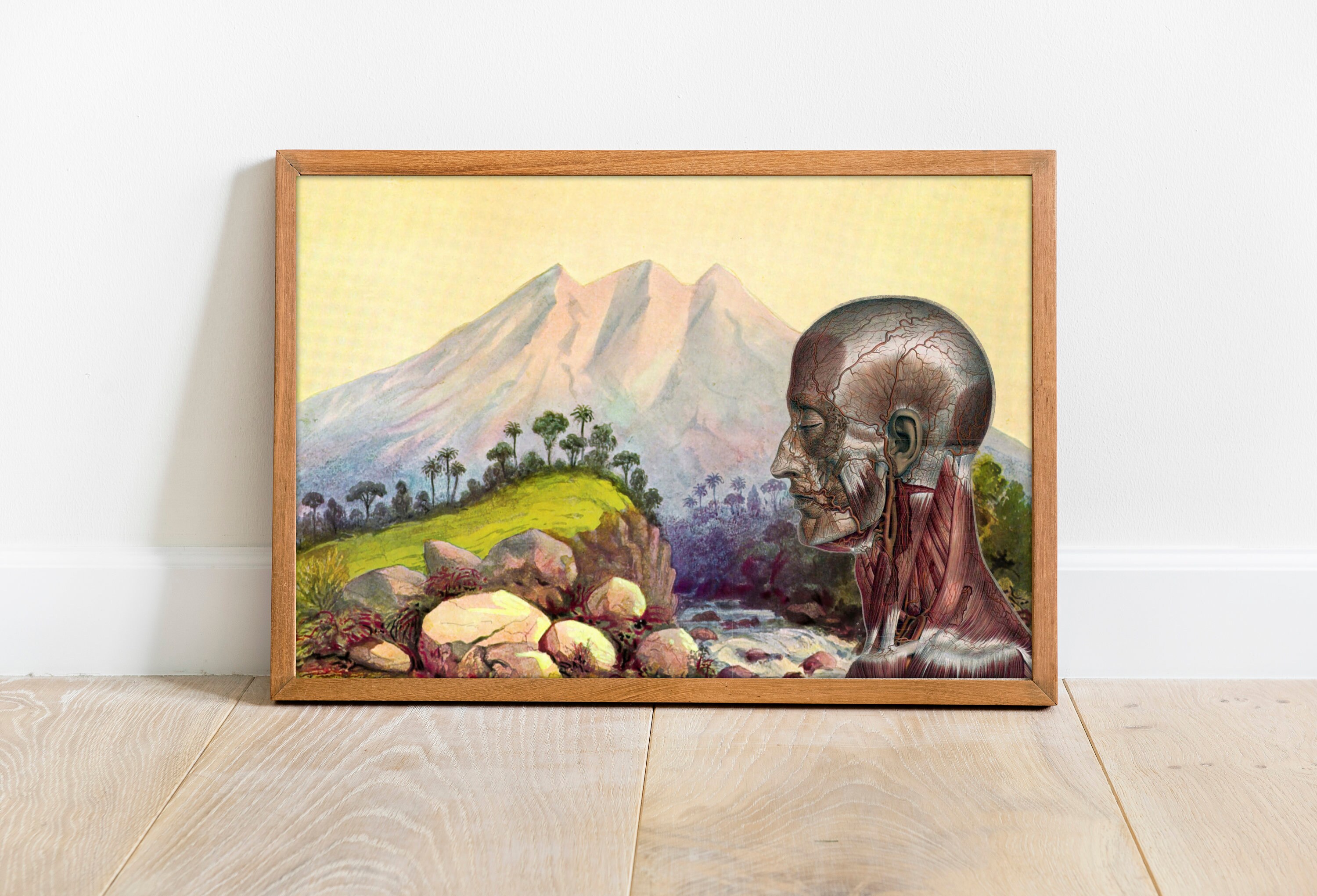 Landscape Anatomy Art, Anatomy Printable Digital Download Art Eclectic ...