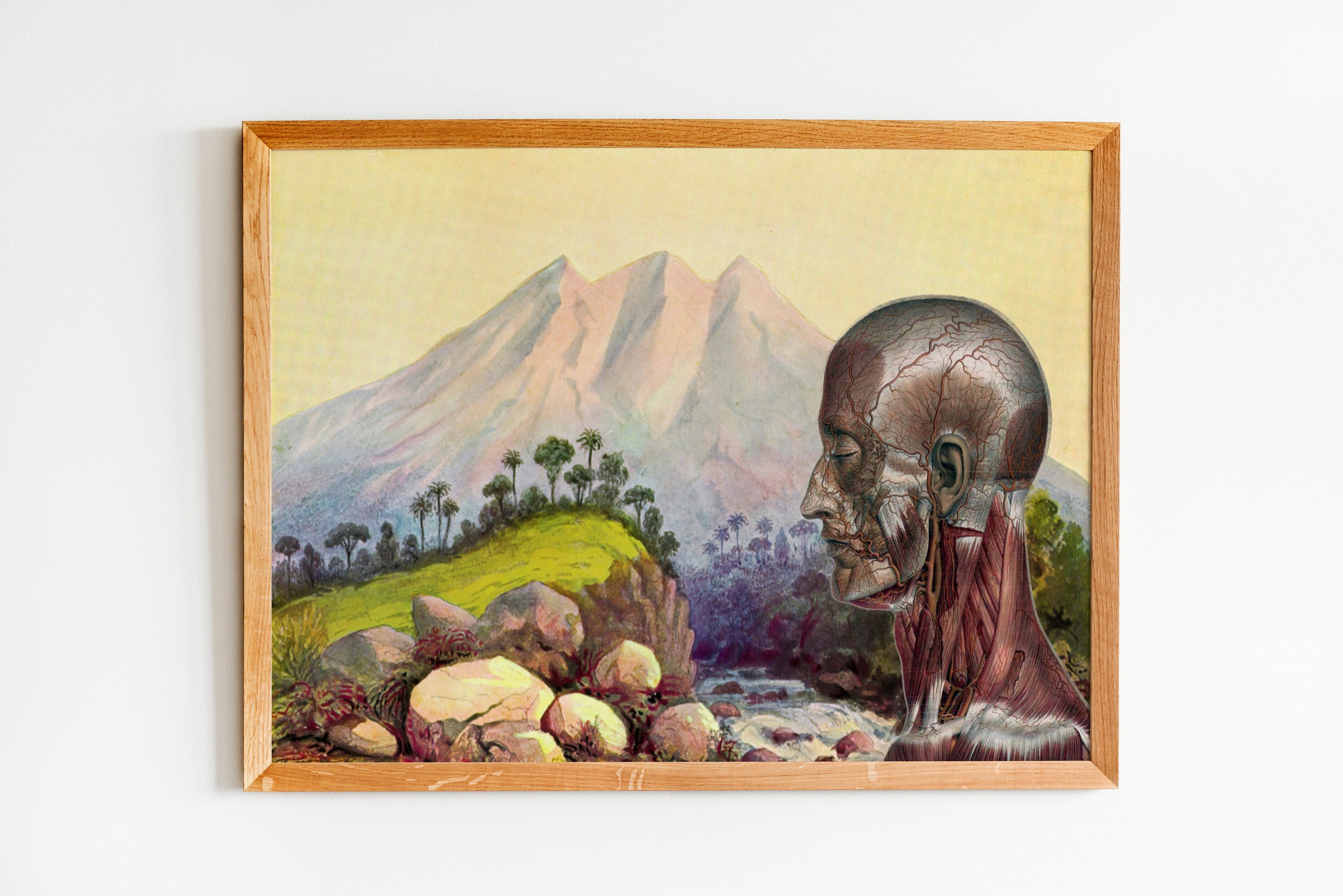 Landscape Anatomy Art, Anatomy Printable Digital Download Art Eclectic ...