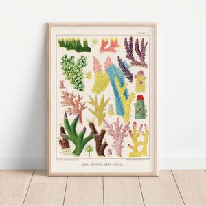 Coral Reef Set of 6 Great Barrier Reef Botanical Poster Vintage ...