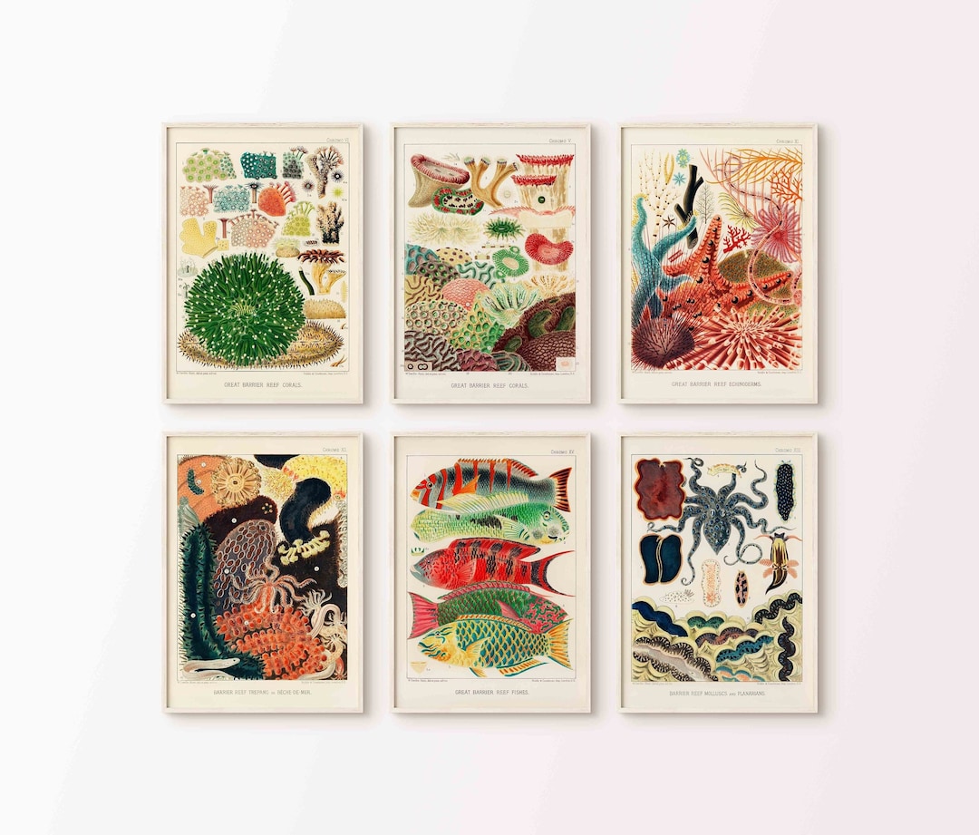 Coral Reef Prints Custom Set Great Barrier Reef Poster Botanical ...