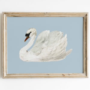 Blue Swan - Etsy