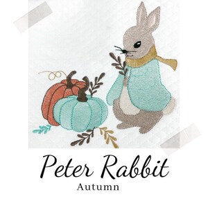 Peter Rabbit Autumn Embroidery Pattern File , Create Your Own ...
