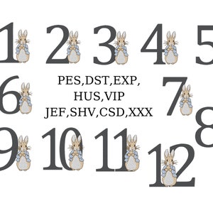 Beatrix Potter Peter Rabbit 1,2,3,4,5,6,7,8,9,10,11,12 Numbers 4x4 Hoop ...