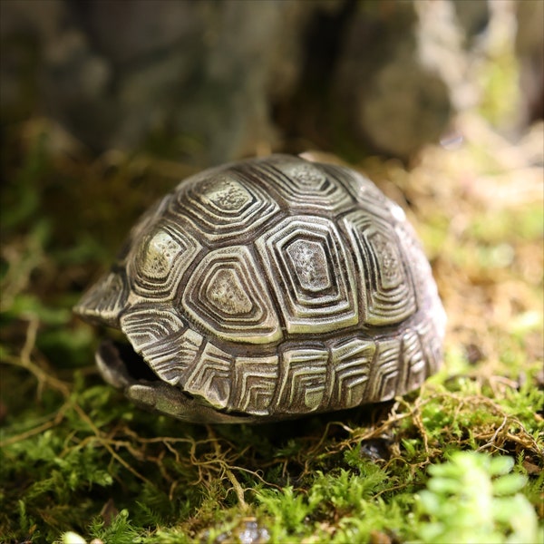 Turtle Shell Pendant - Etsy