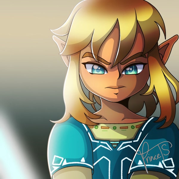 Totk Botw Link - Etsy