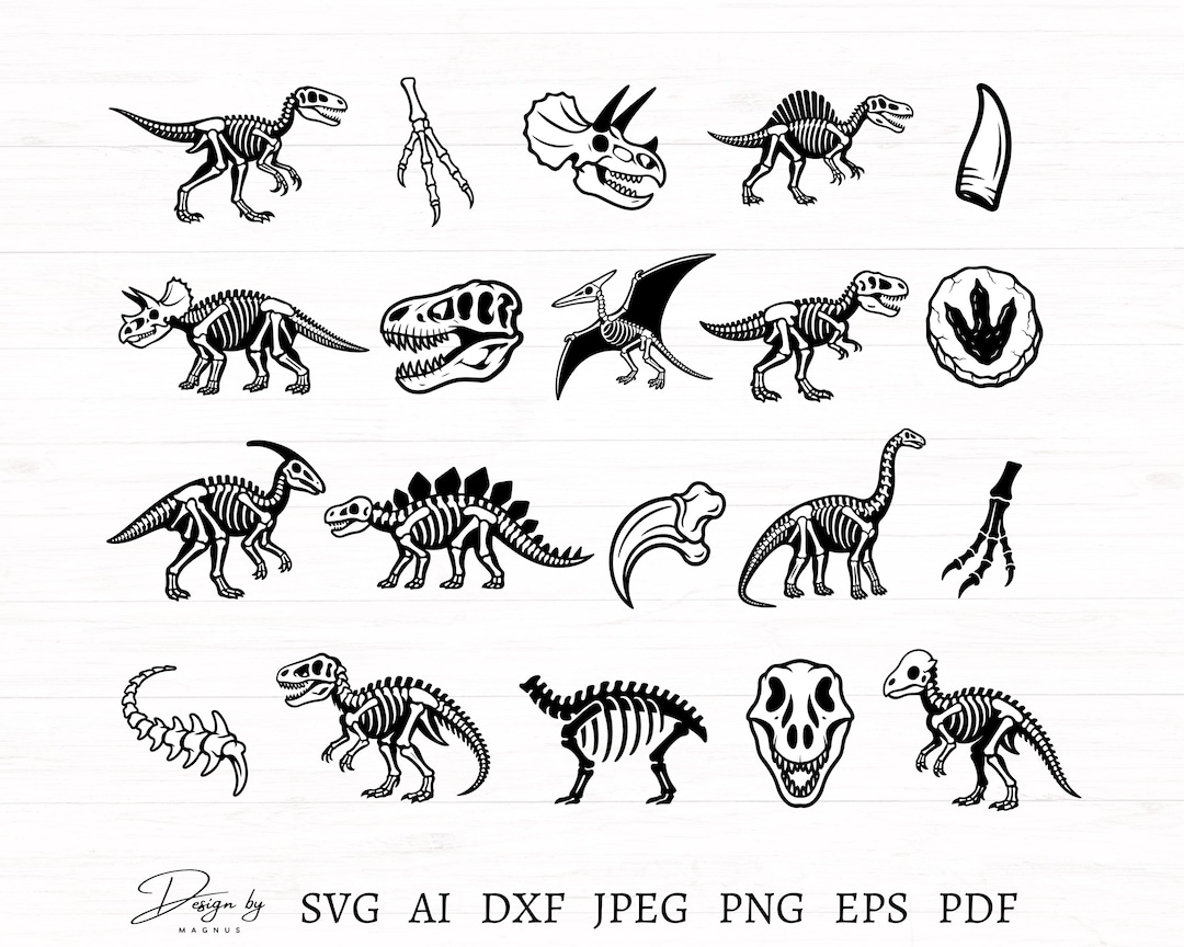 Dinosaur Skeletons SVG Bundle, 20 Designs, Fossil Cut Files for Cricut ...