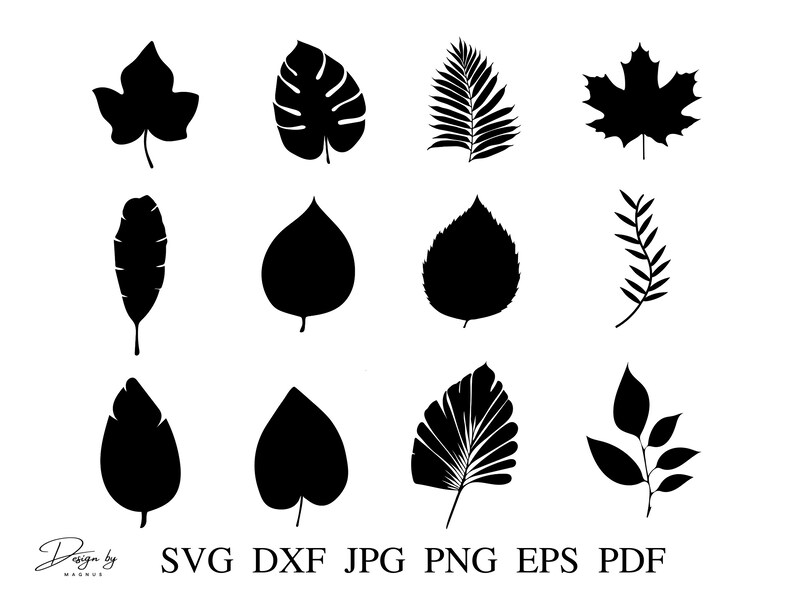 Leaves Svg Bundle Leaves Cut File for Cricut Leaves Clipart - Etsy