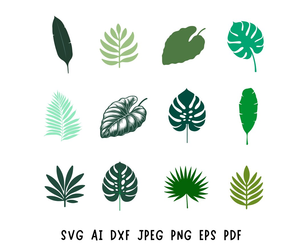 Tropical Leaves Svg Bundle 12 Designs, Tropical Leaves Clipart, Tropical Leaves Png, Monstera ...