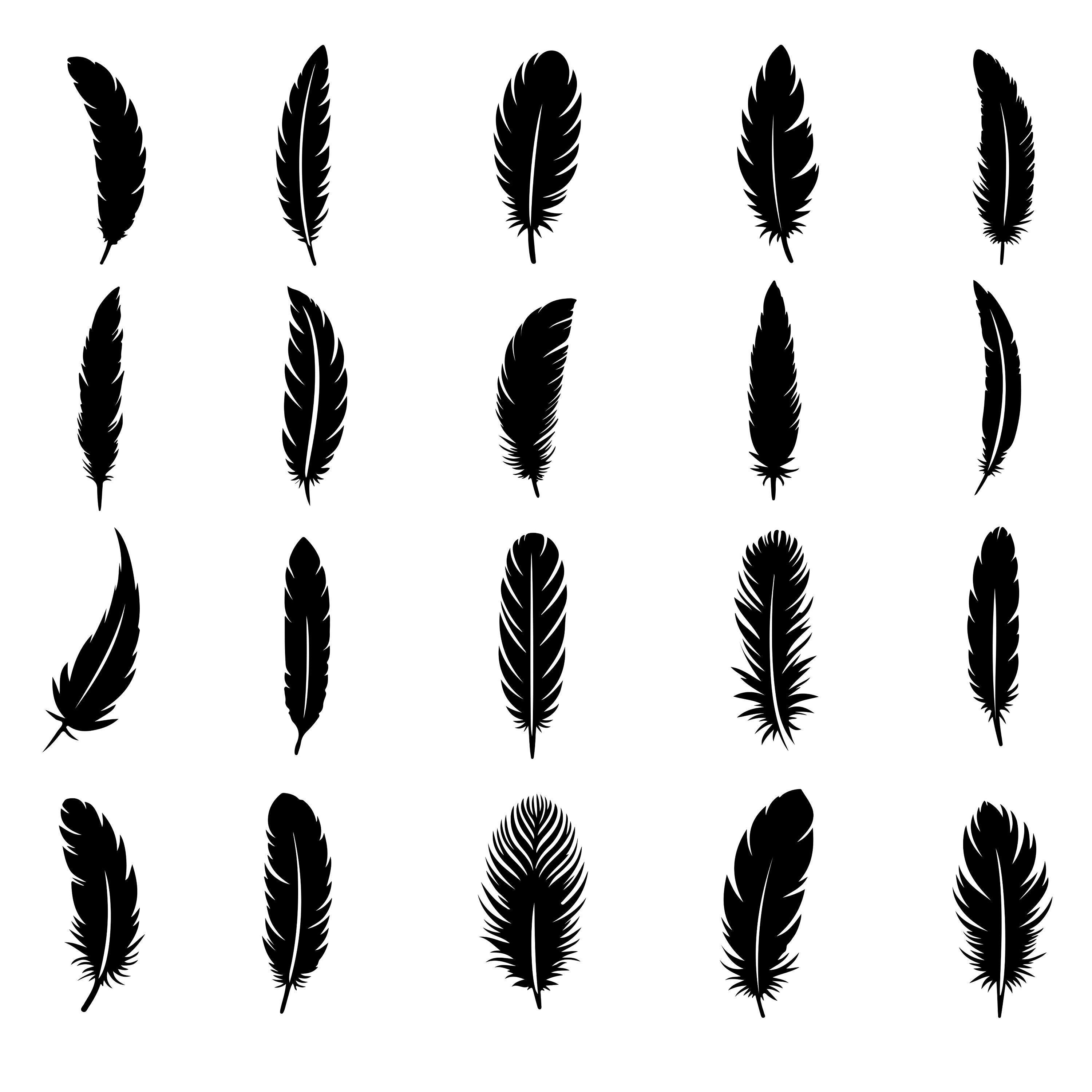 Feather Svg Bundle 20 Designs, Feather Cut Files for Cricut, Feather ...